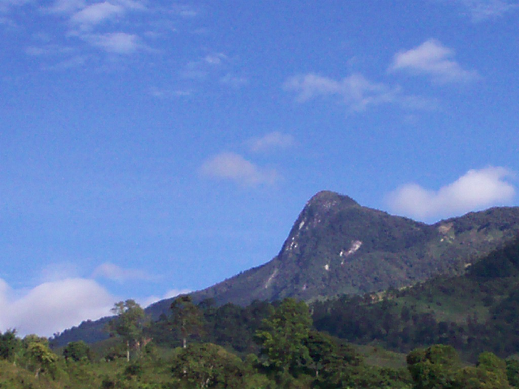 Municipio Anzoátegui