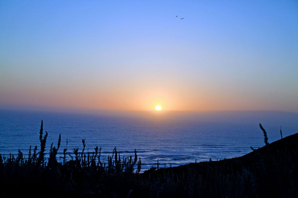Smell the Forest: Sunset State Beach