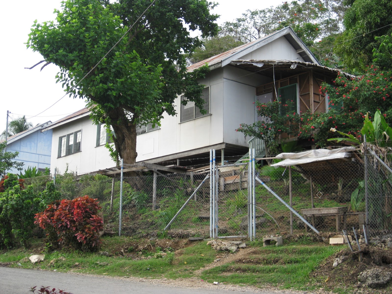 Ian MacNeill: The Architecture of Solomon Islands