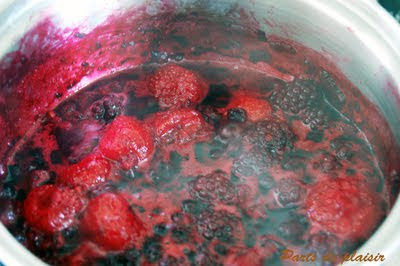Parts de plaisir: Coulis de fruits rouges au gingembre