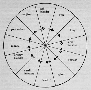 TCM(Chinese Traditional Medicine): The Chinese Biological Clock