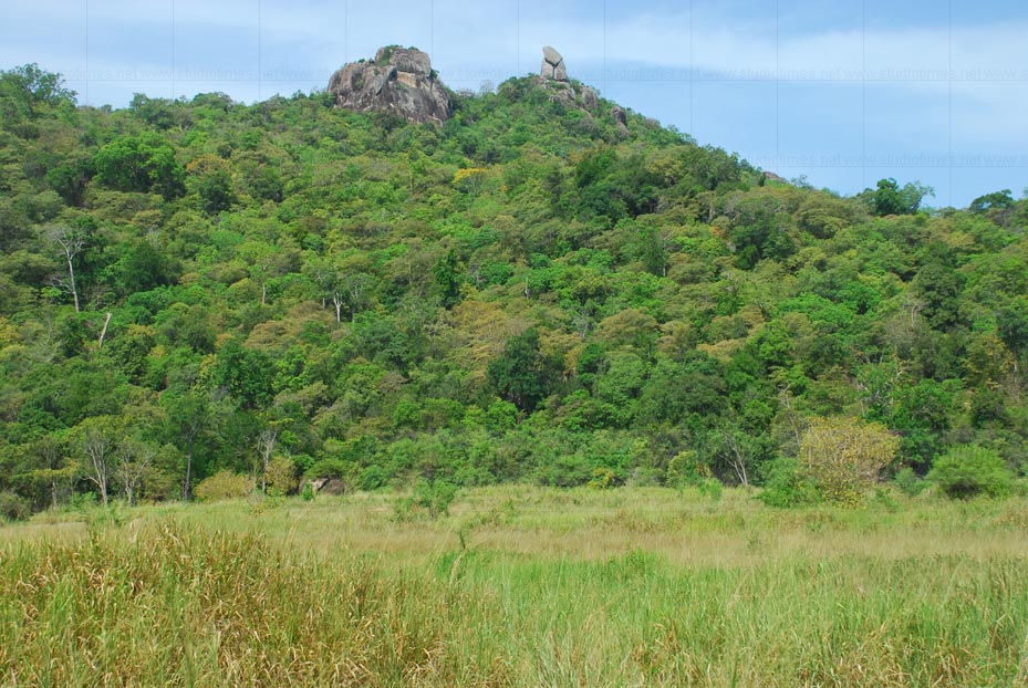 STUDIO TIMES SRI LANKA IMAGE ARCHIVE: IMAGES OF SRI LANKA - MADURU OYA ...
