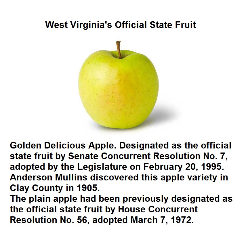 West Virginia take me home