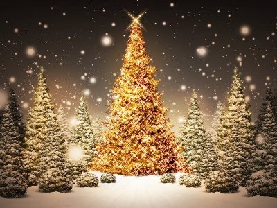 Božićne slike i e-card čestitke: Čarobna noć i Božićni bor u šumi