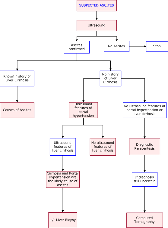 Medical World: Ascites