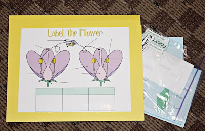 Flowers & Plants ~ Lapbook - 1+1+1=1