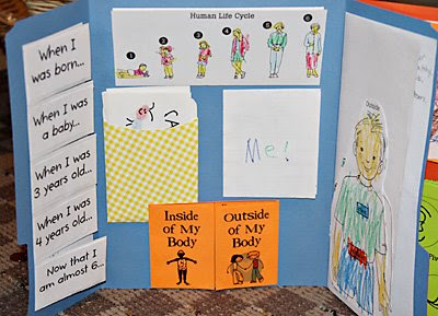 Human Body ~ Lapbook - 1+1+1=1