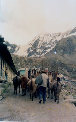 Comunidad Campesina de Oyón : Lugares Turísticos Región Lima
