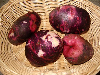 Plants and Stones: Psychedelic Potatoes