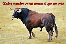 MALAKA TAURINA: Reducir al toro… desbravar