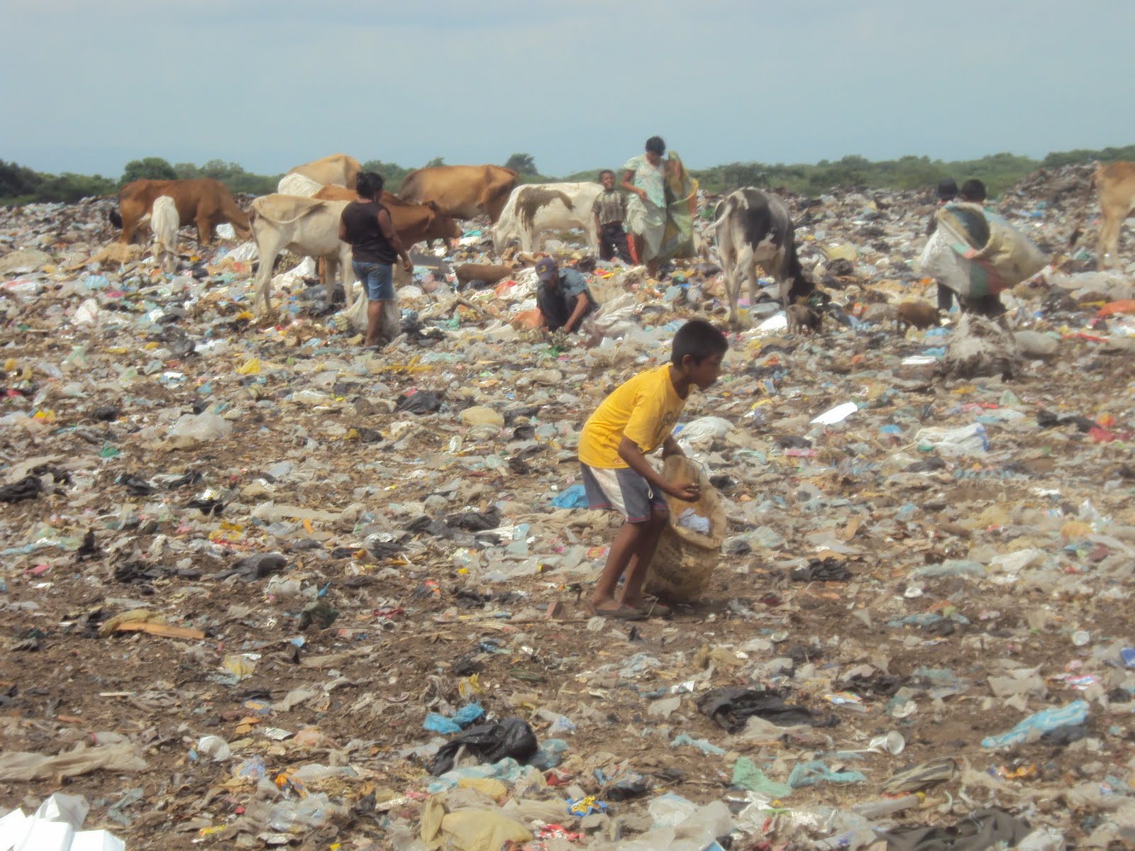 Botaderos De Basura A Cielo Abierto En Colombia