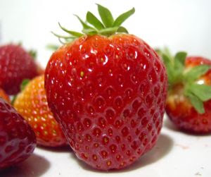 Firefly: Look at these BEAUTIFUL Strawberries