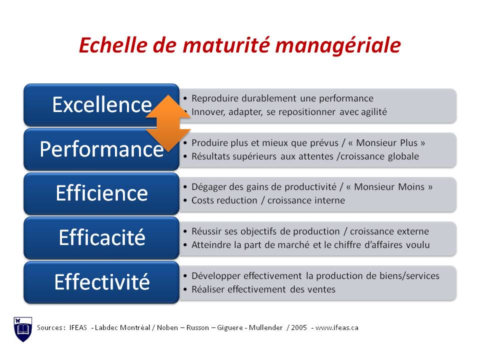 AeSR - modélisations systémiques: Echelle de Maturité Managériale (EMM ...
