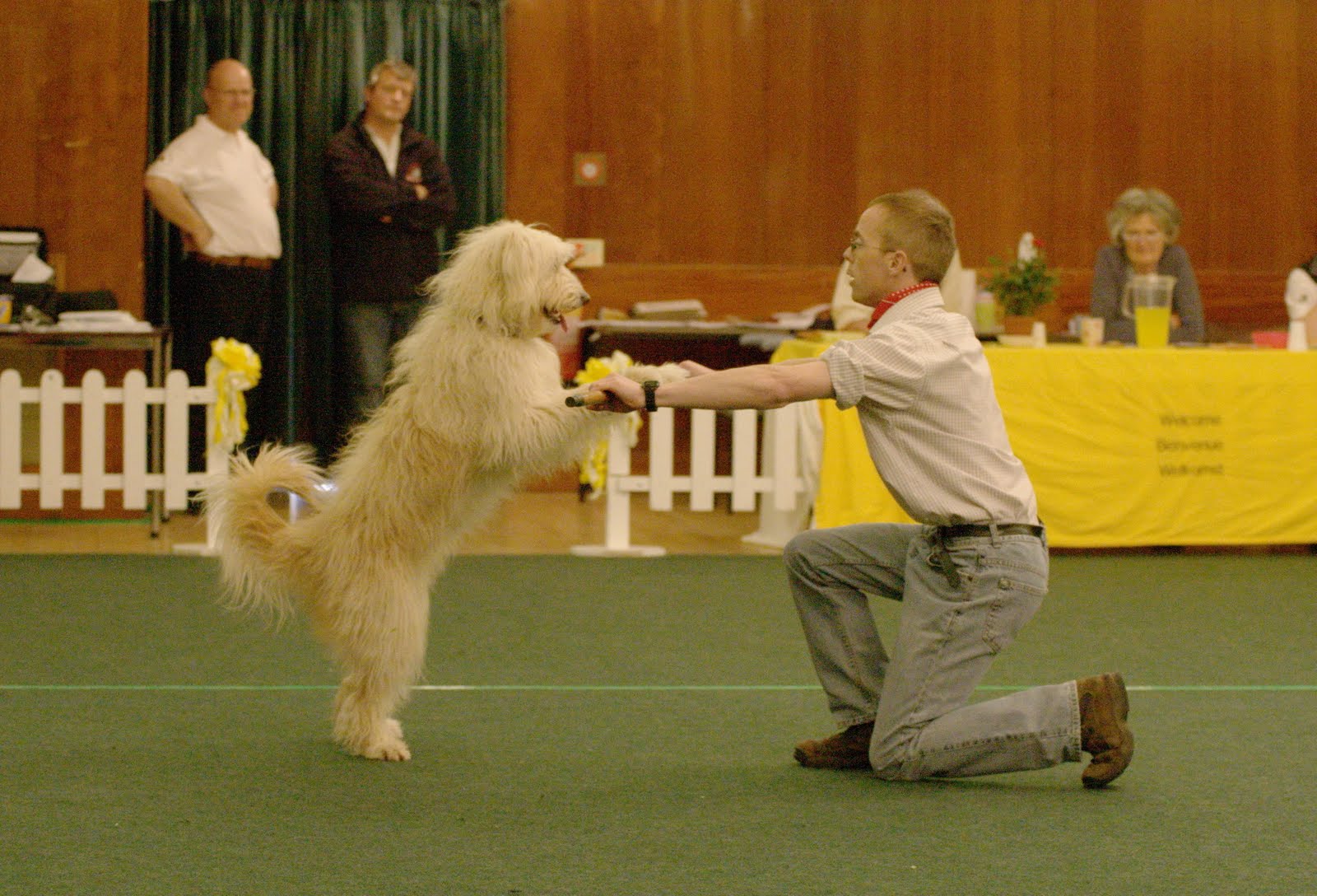 K9 freestyle dancing dogs: 2010