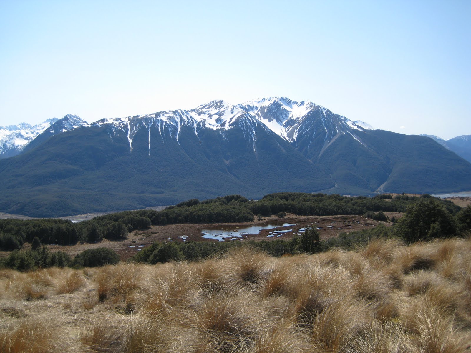 Brad and Catherine in New Zealand: Bealey Spur & Valley