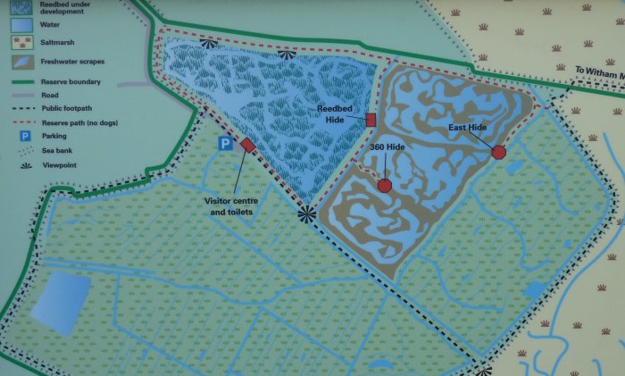 Gnome's Birding Diary: Frampton Pratincole