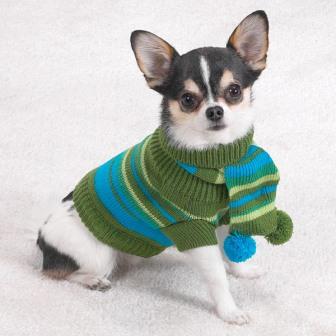 New Chihuahua Clothes By Yourself - Knitting A Sweater - Chihuahua ...