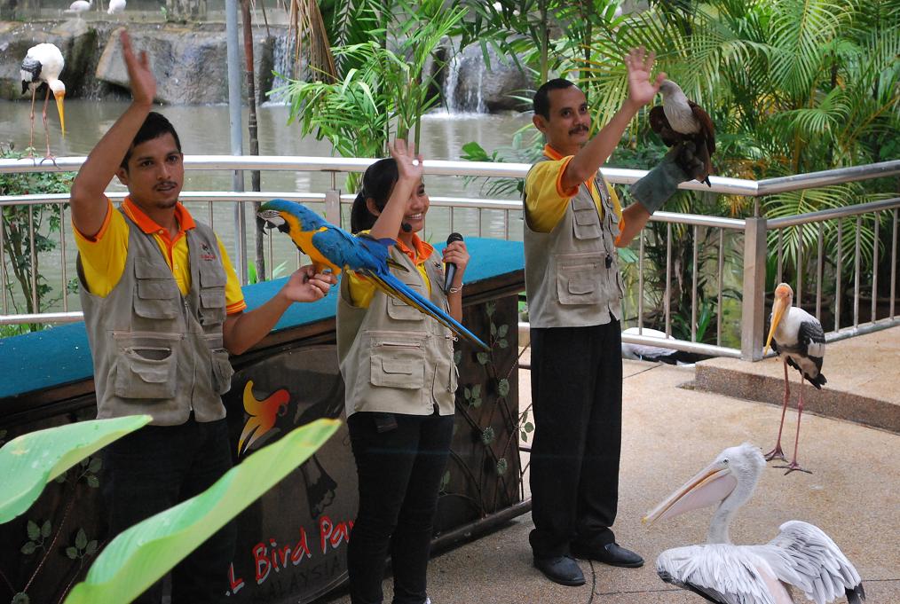 Kuala Lumpur Bird Park | Malaysia Tour