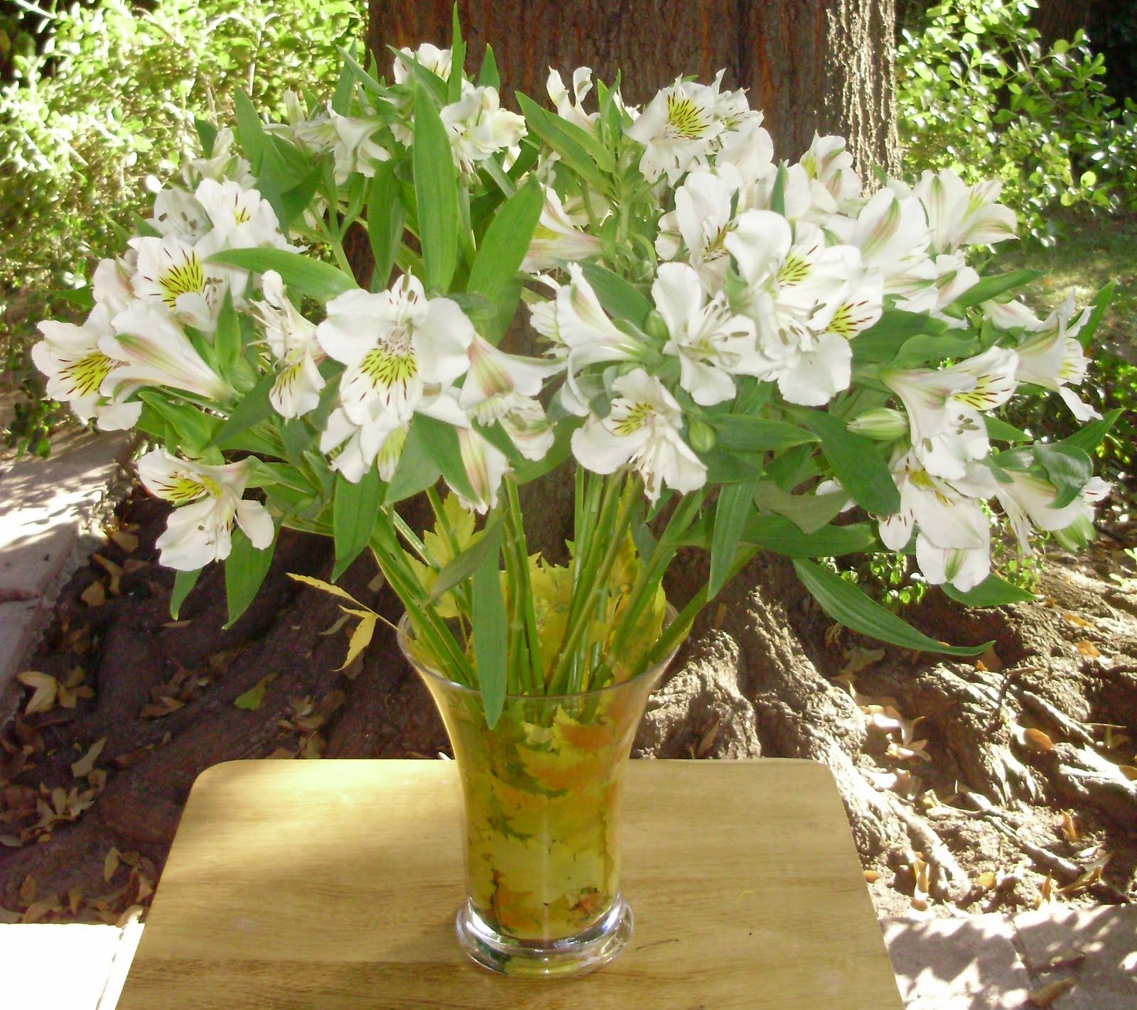 Las Lindas Flores: Armamos tu florero