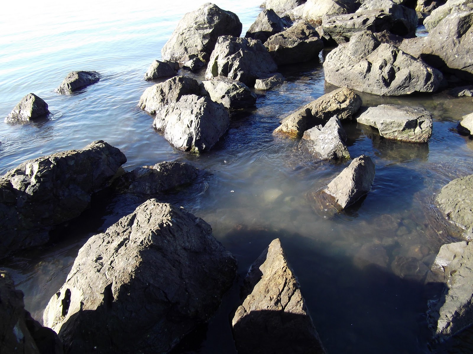 Justice for Scott Peterson: A formidable barrier