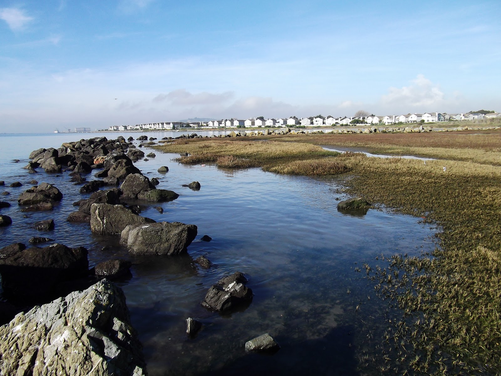 Justice for Scott Peterson: A formidable barrier