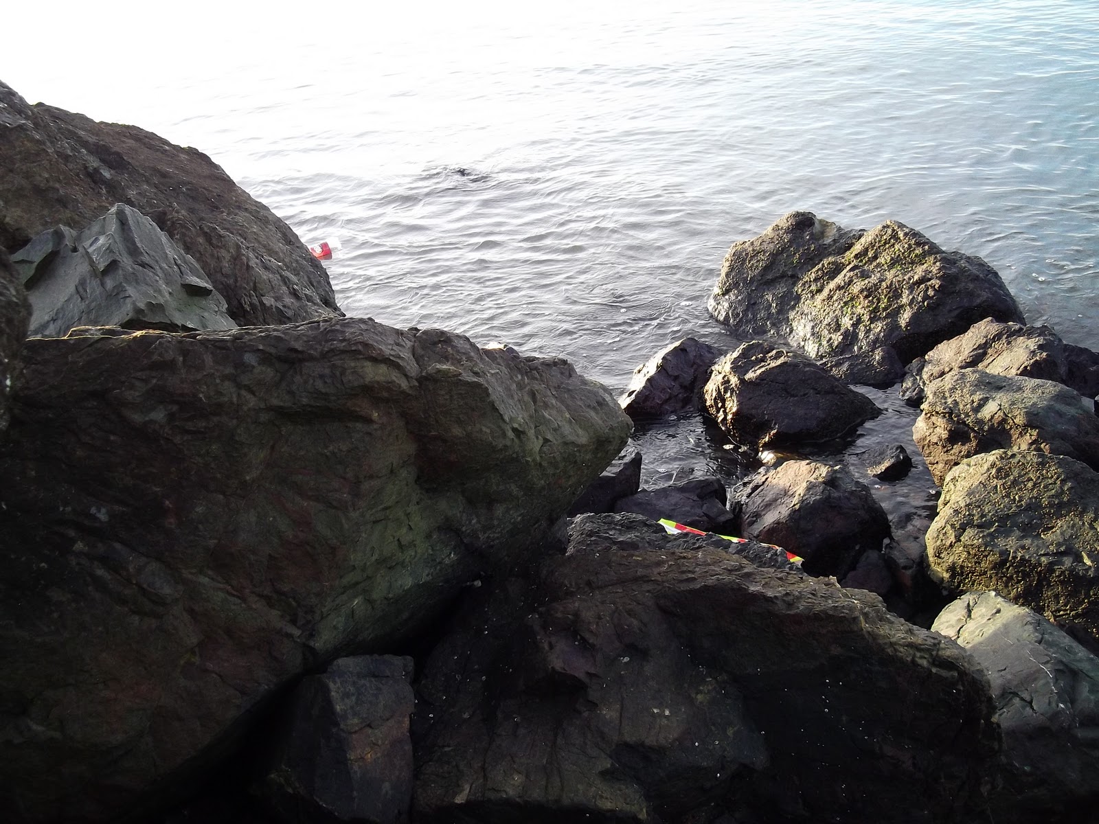 Justice for Scott Peterson: How small objects move in water