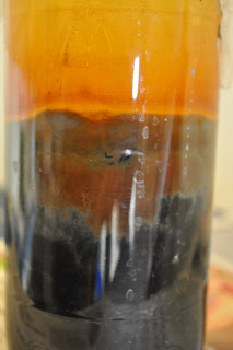 Winogradsky Columns: Day 52 Observations