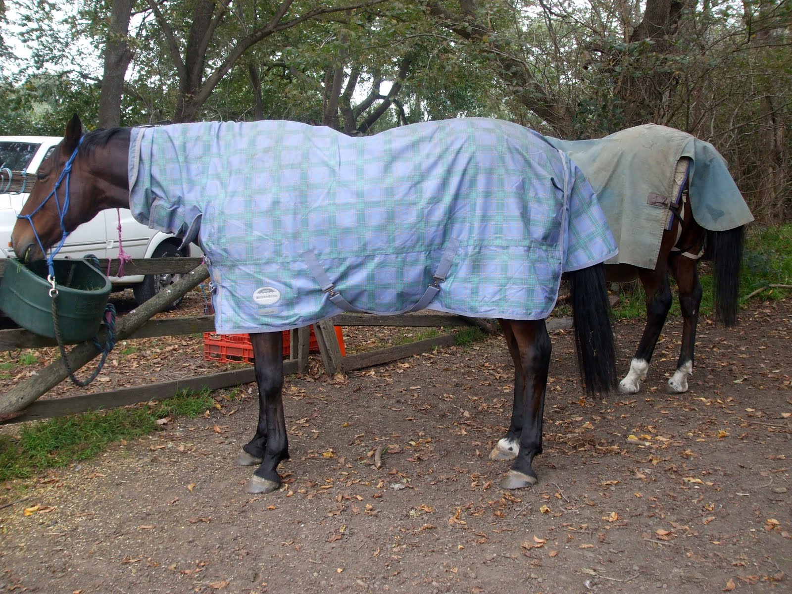 Horse Rug & Tack Review