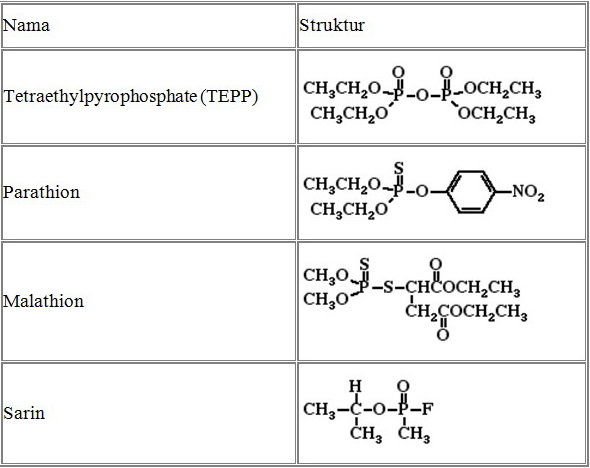 Titis Ria Maryanti: pestisida