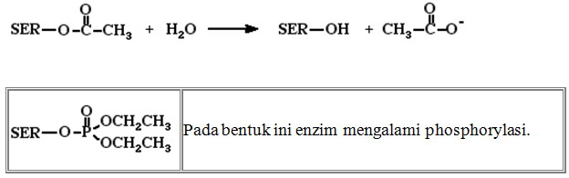 Titis Ria Maryanti: pestisida