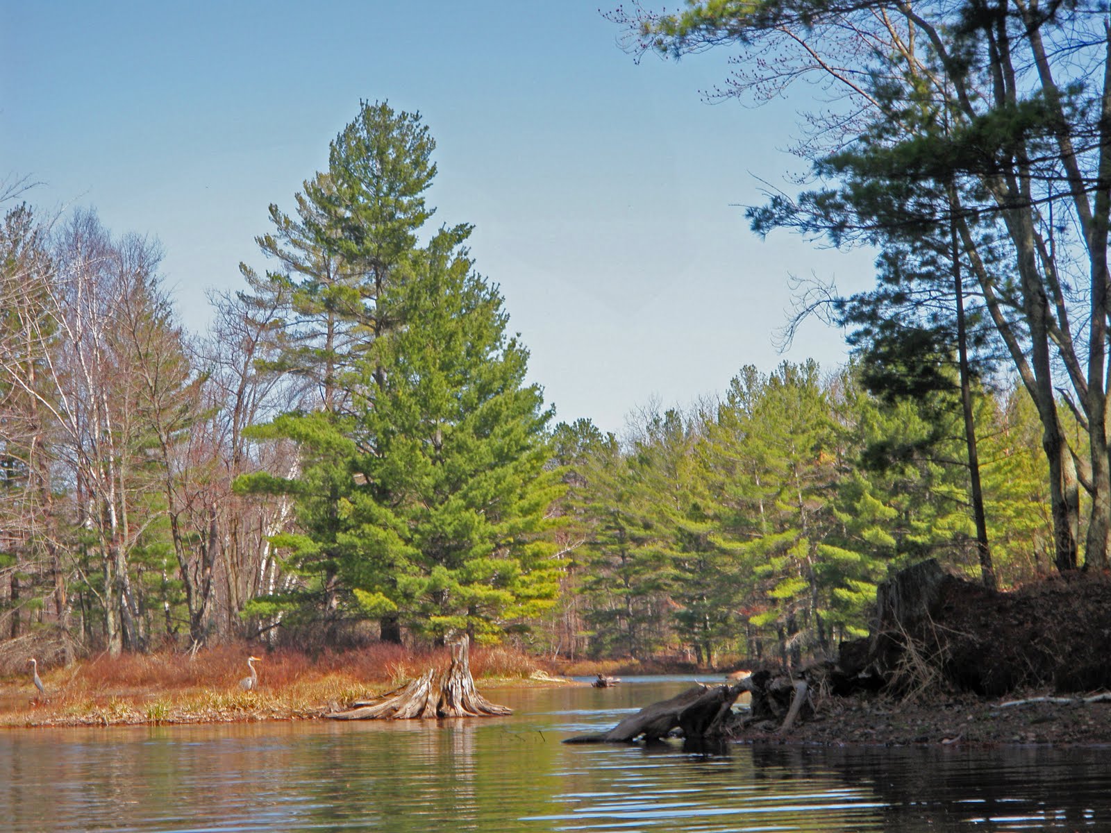 Living on the Edge: Chippewa Flowage