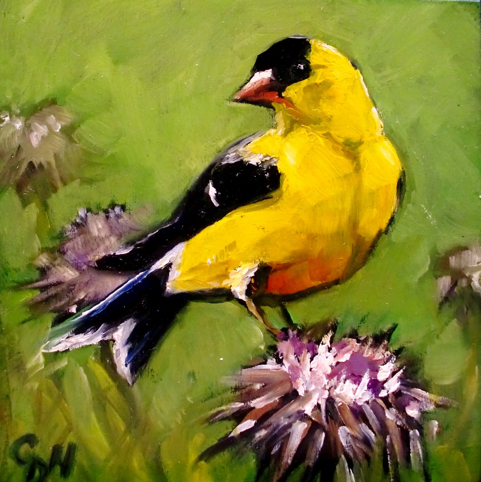 CAROL NELSON FINE ART BLOG: Bird Series - Goldfinch, © Carol Nelson ...