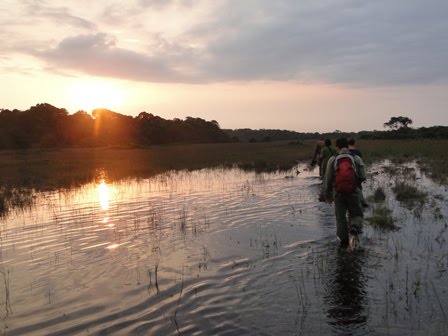 Paradise News: PARADISE NEWS' GUIDEBOOK: MAYUMBA