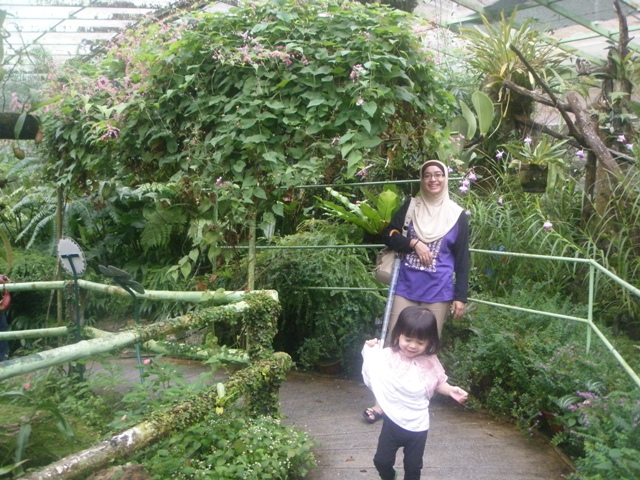 TRAVELOG: TAMAN RAMA-RAMA PULAU PINANG : 'World's 1st Tropical Live ...