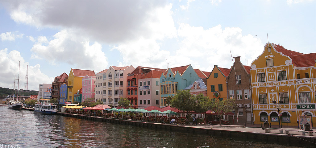 Punda - JungleKey.be Afbeelding