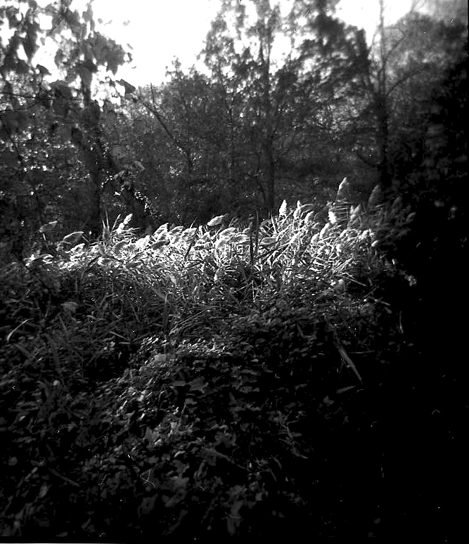 Robert Gould: The Battle of Pell's Point or Pelham October 18,1776