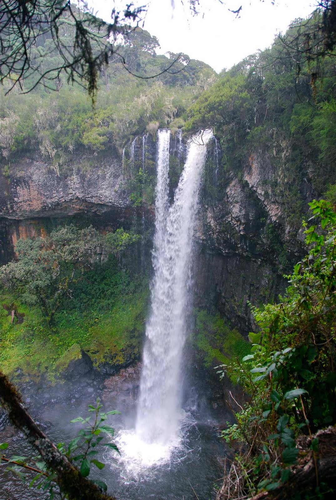 Our Kenya Nairobi Mission: Aberdare National Park near Mt. Kenya