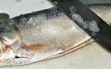 Ikan Terubok Masin Sarawak