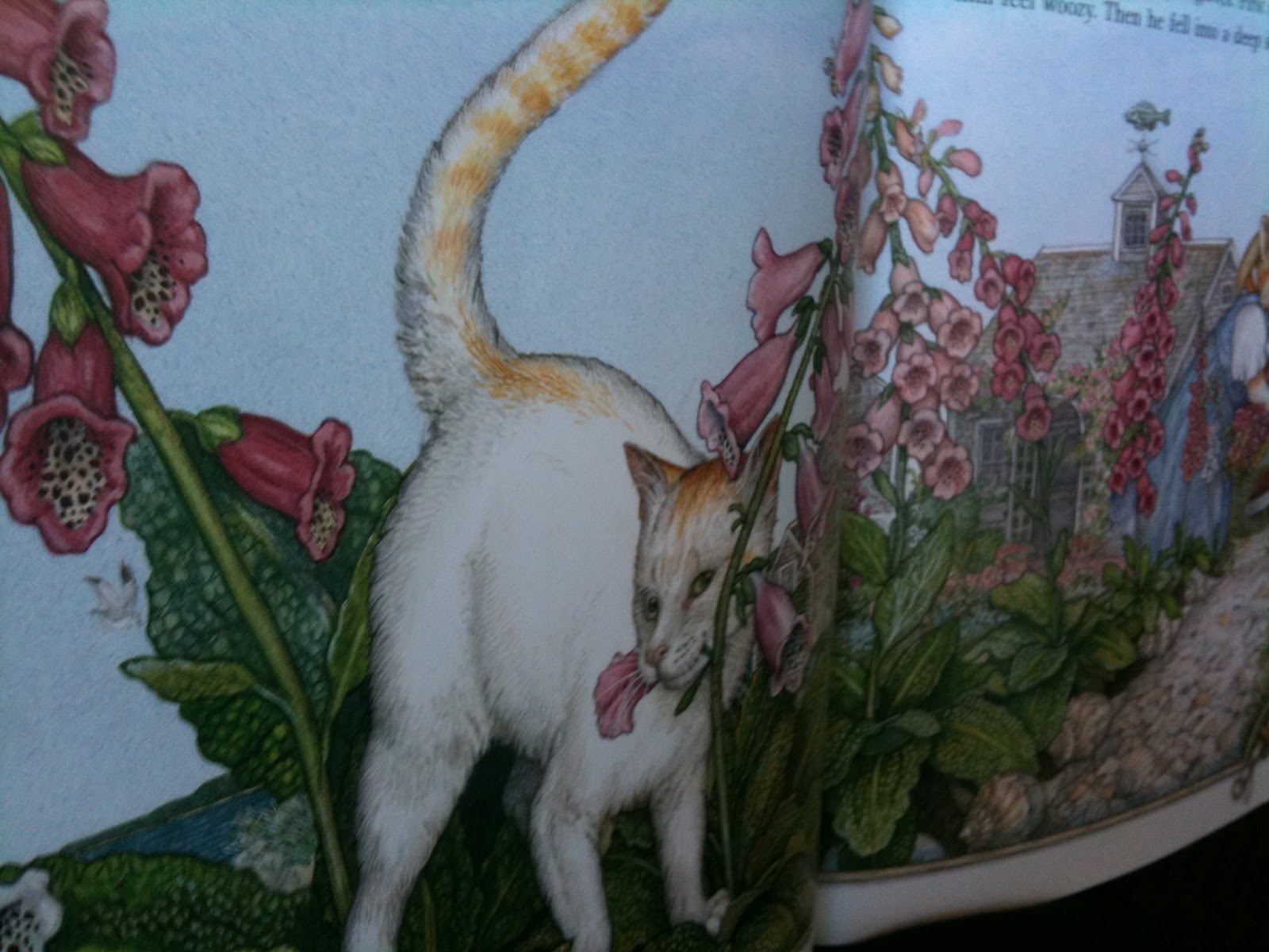 Bibliophile By the Sea: 131 - Comet's Nine Lives; Jan Brett