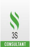 3S Consultant