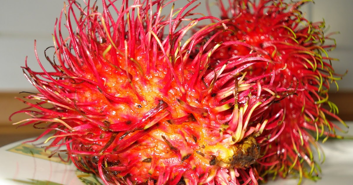 Cairuseando: Fruta Peluda