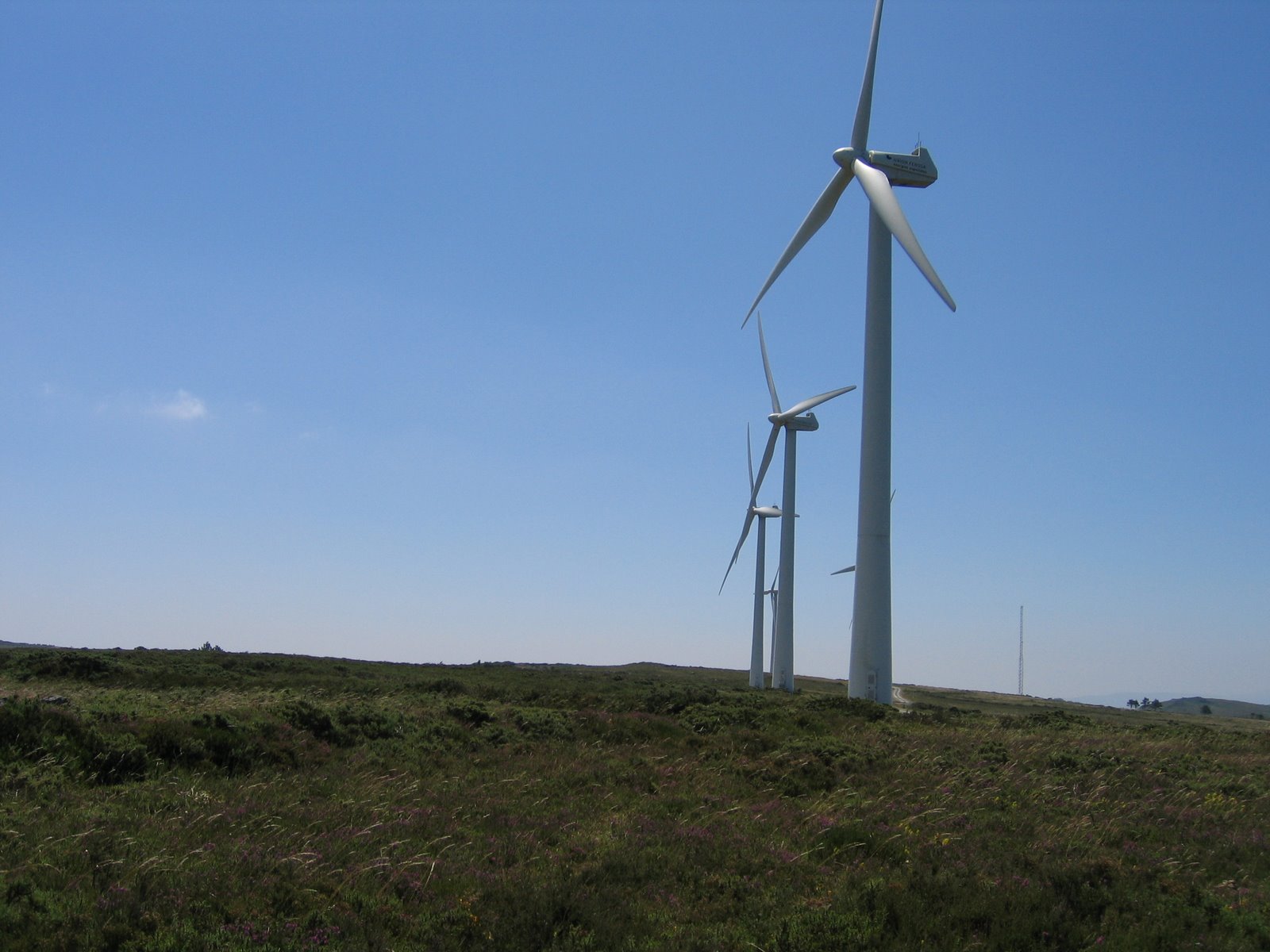 Stall Regulated Wind Turbines ~ Wind Energy