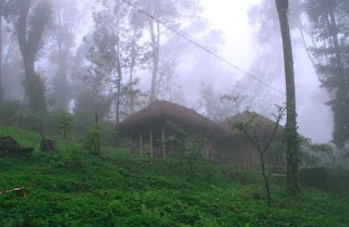 Ecotourism from 'Travelife': Coorg – The Scotland of India!!!