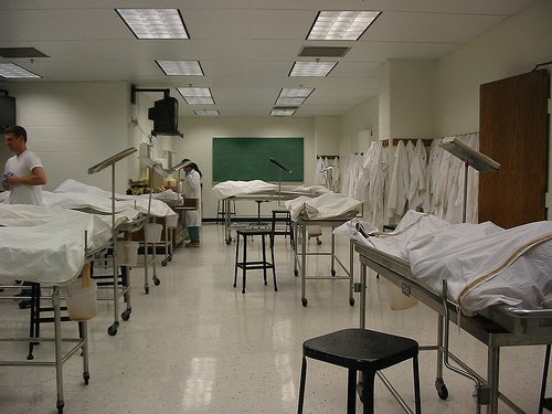 Scrubbed Up Student: Dissecting the Dissection Room