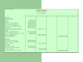 MI PROTOCOLO GERENCIAL: BALANCE GENERAL