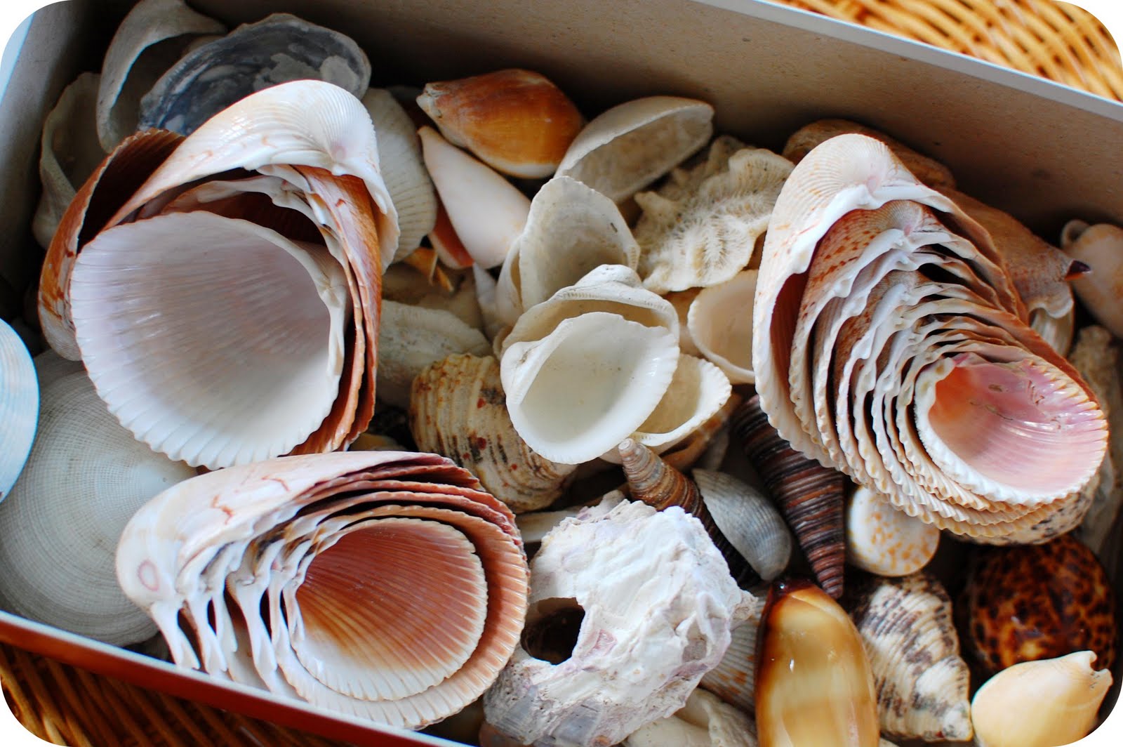 33 Shades of Green: Summer Mantle