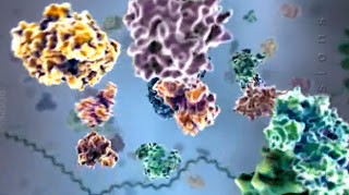 Proto-Knowledge: Mitochondria Animation