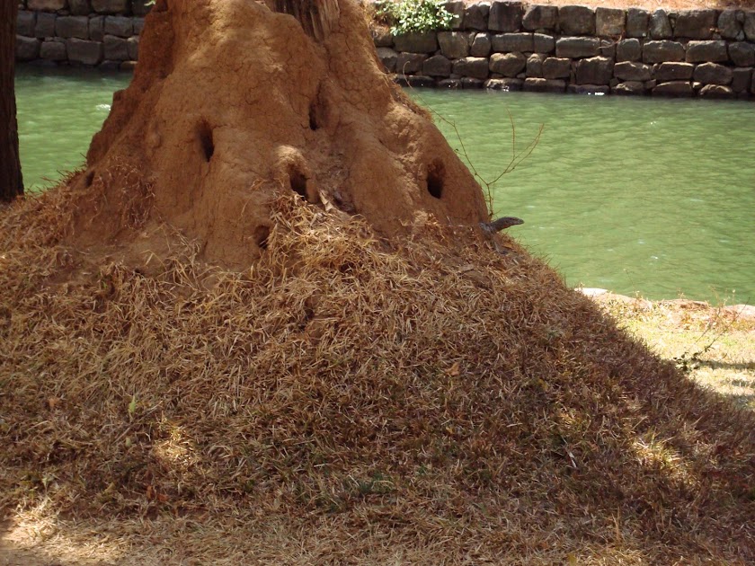 Punchi Lokanthaya (Small Worlds end, Mini World.s end) - Sri Lanka
