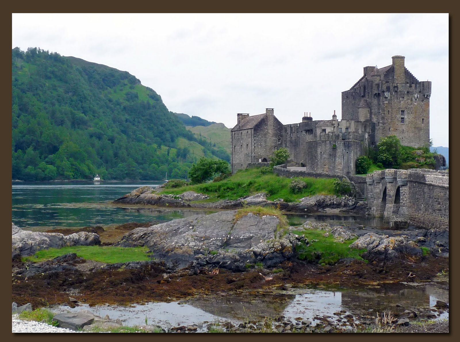 Wild and Wonderful: Beautiful Birds (6): At the 'most photographed ...