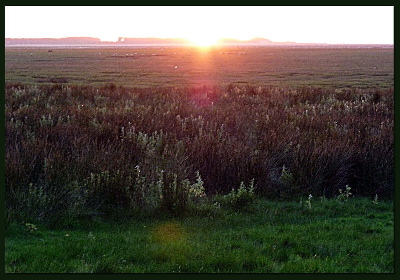 Wild and Wonderful: Sunsets (1): Llanrhidian, Gower